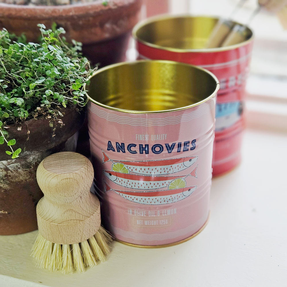 Anchovies Storage Tin - Tin can planter - utensil pot - pen pot ...