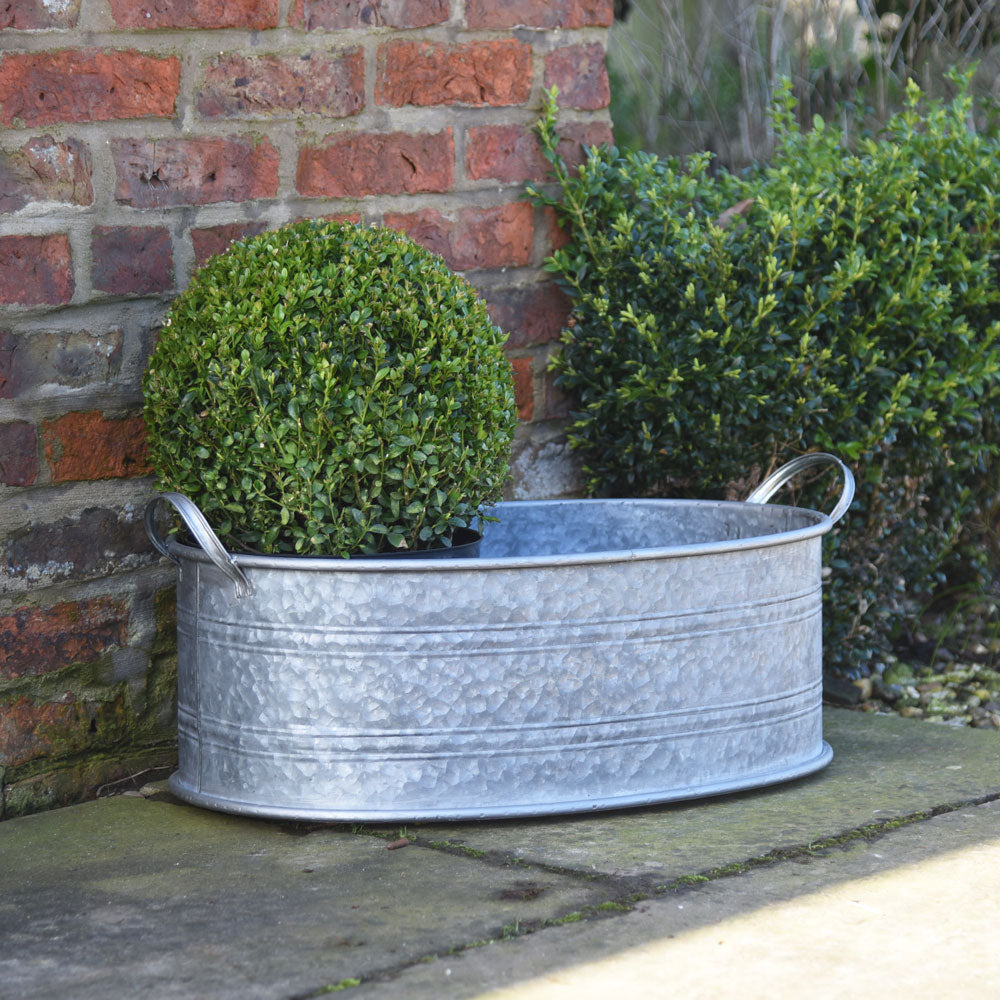 Oval Metal Outdoor Garden Planter-Ideal Bulb Planter, Flower Planter