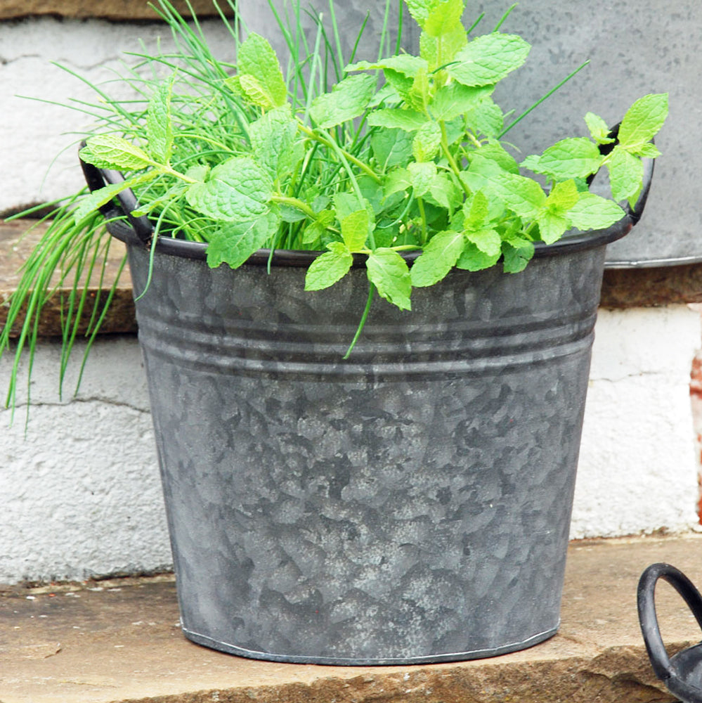 Normandy vintage small garden planter