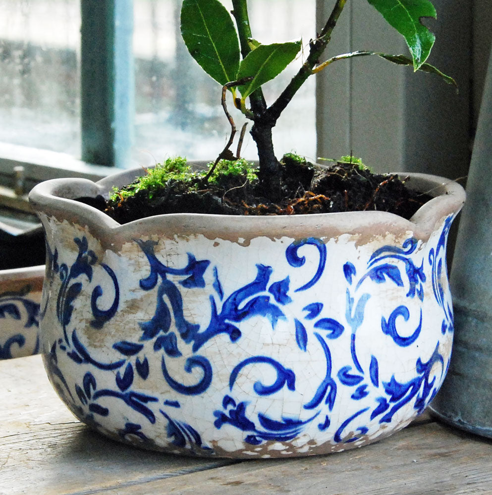 Round blue and white ceramic indoor plant pot